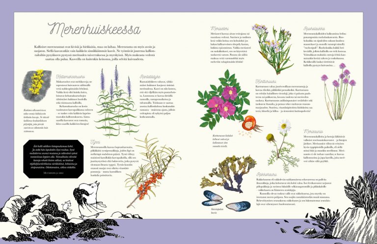 Hemulen's Herbarium is perfect for plant enthusiasts of all ages