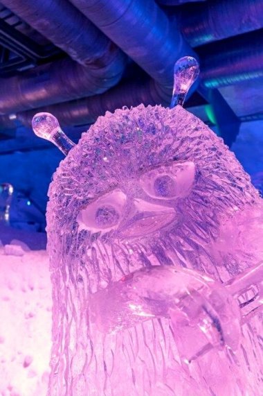 Moomin Ice Cave invites you on a wintery adventure!