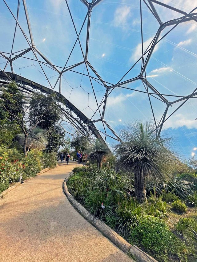 From rainforest to jungle, Moomins charmed Eden Project visitors