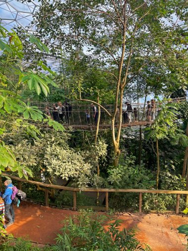 From rainforest to jungle, Moomins charmed Eden Project visitors