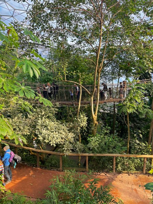From rainforest to jungle, Moomins charmed Eden Project visitors