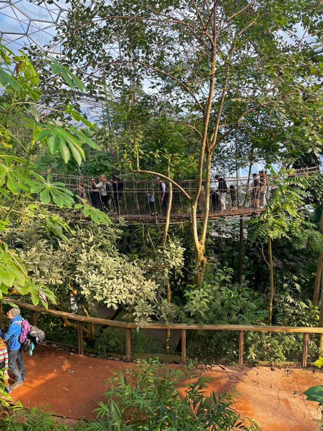 From rainforest to jungle, Moomins charmed Eden Project visitors