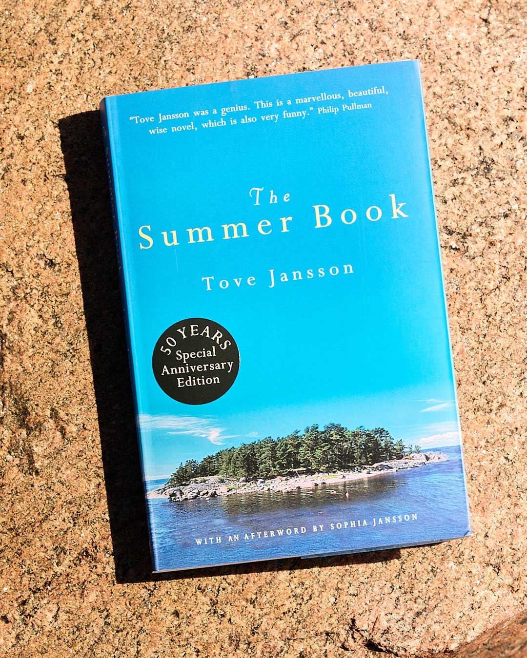 A look at Summer Book film - official trailer released