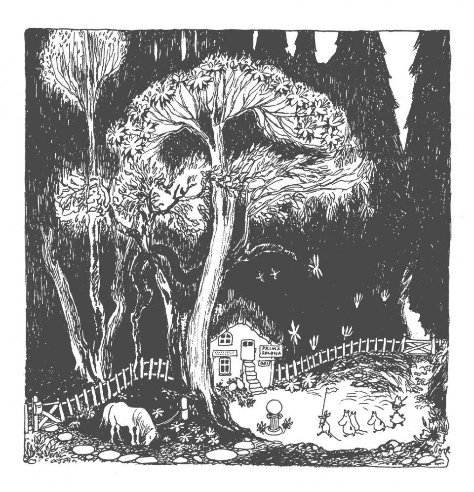 Comet in Moominland - Moomin book