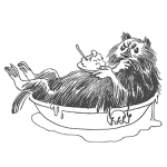 Comet in Moominland - Moomin book