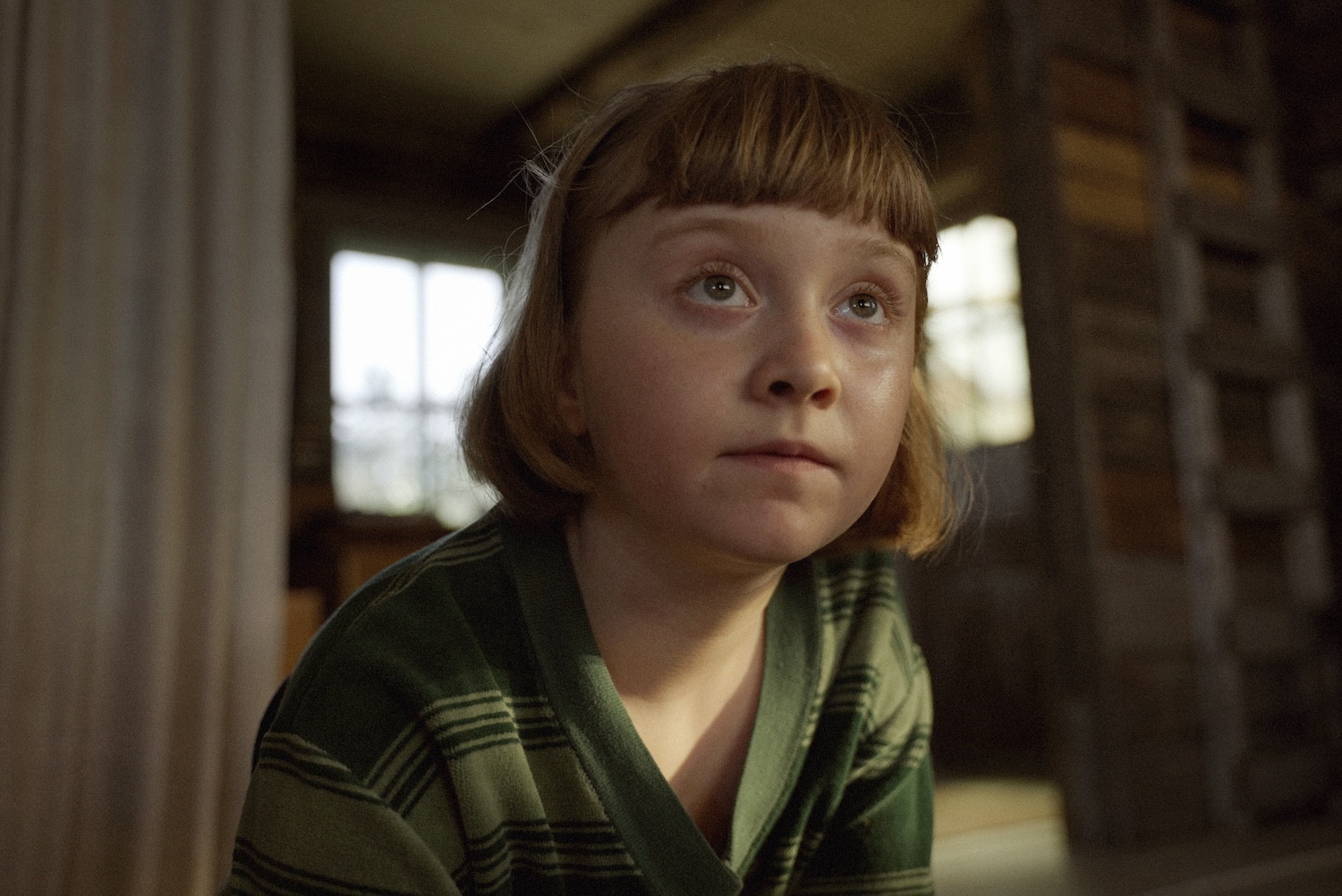 A look at Summer Book film - official trailer released